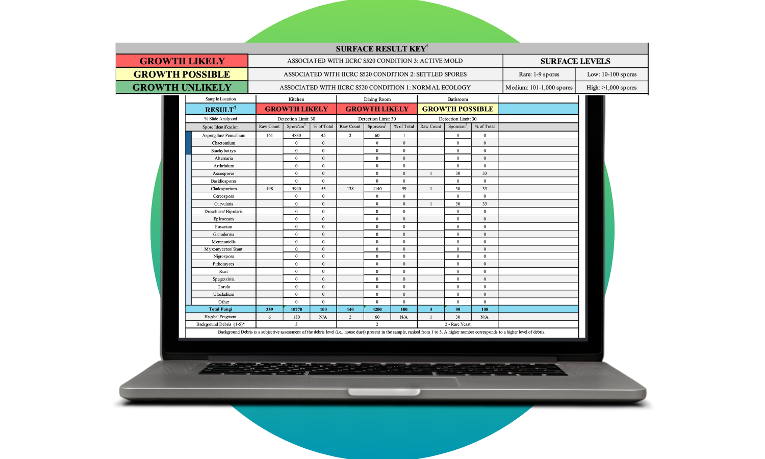 DIY Mold Test Kit – Swab Method for Fast & Accurate Results | MyCoTest